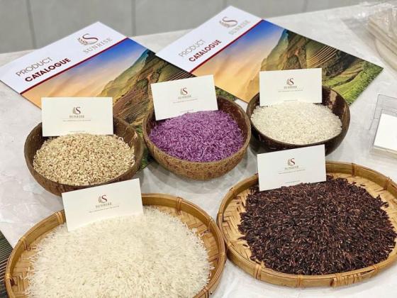 Japonice Rice, Jasmine Rice, ST25 Rice, KDM Rice, Hom Mali Rice ...