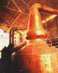 MALT SPIRIT(id:3256523). Buy Malt Spirit, alcohol, whisky - EC21