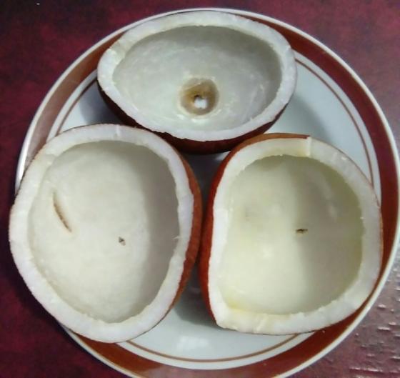 Coconut White Copra(id:10770289). Buy Indonesia Copra - EC21 Coconut White Copra(id:10770289). Buy Indonesia Copra - EC21