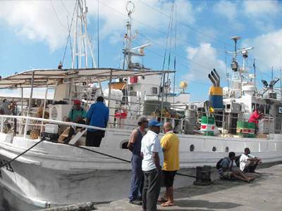 [ Tuna Long Line ] - Forman Tech Co.,Ltd.