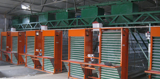 Automatic Egg Collection System(id:10411035). Buy China Egg Collection ...