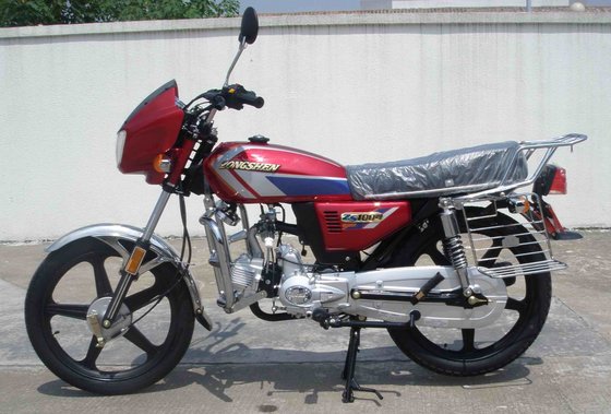 Zs 100 store