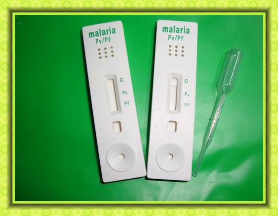 Malaria PF/PV Antigen Rapid Test(id:4831943) Product details - View ... Malaria PF/PV Antigen Rapid Test(id:4831943) Product details - View ...