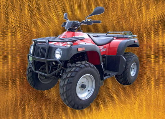ATV(Quad) NF150(id:845353) Product details - View ATV(Quad) NF150 from ...