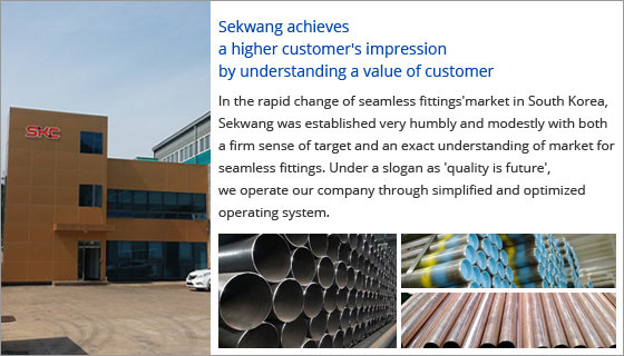 Sekwang Co., Ltd. - Fittings, Pipe Fitting, BW Fitting, Forged Fitting ...
