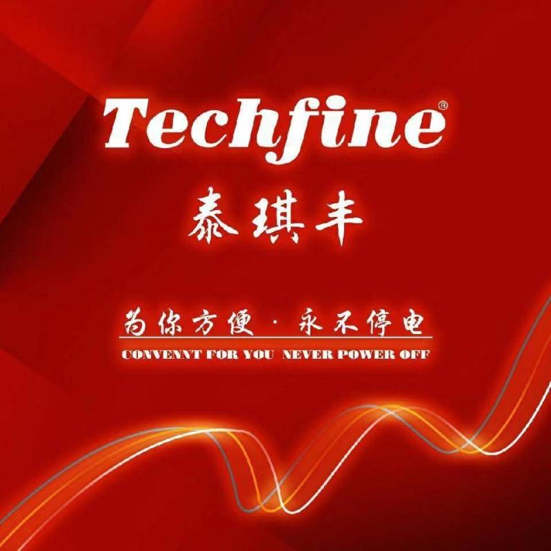 Techfine Pure Sine Wave Solar Inverter for Solar Power System Home Use ...