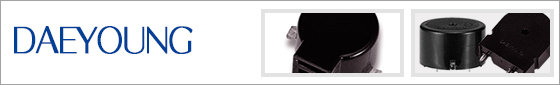 DaeYoung Electronics Co., Ltd. - Company Profile